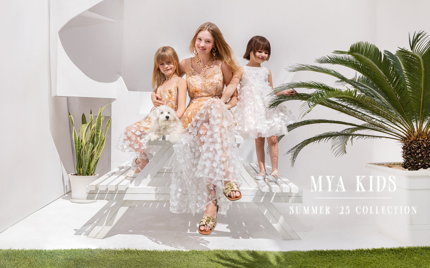 MYA Collection – MYA COLLECTION
